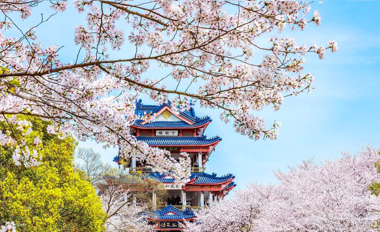 One-day tour from Shanghai to Wuxi Lingshan Giant Buddha/Yuantouzhu ...